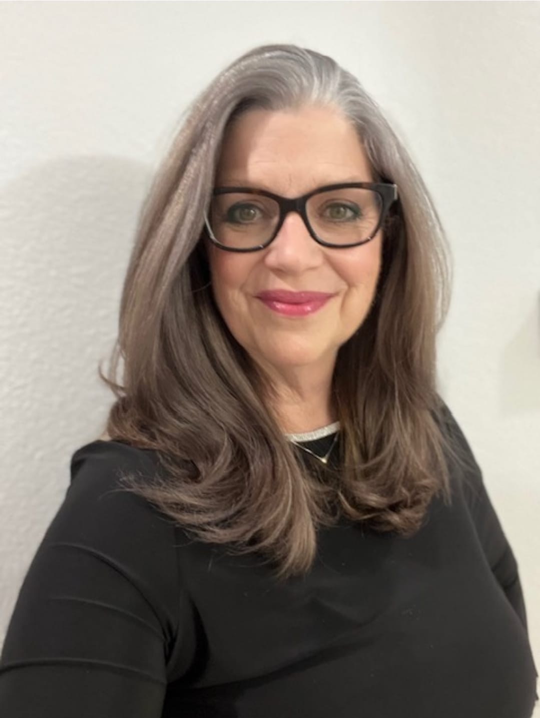 iDoctorAccess CareLink - About Us